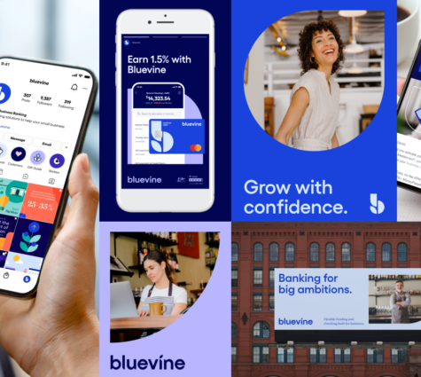 Bluevine announces its next-gen brand identity, reflecting the company ...