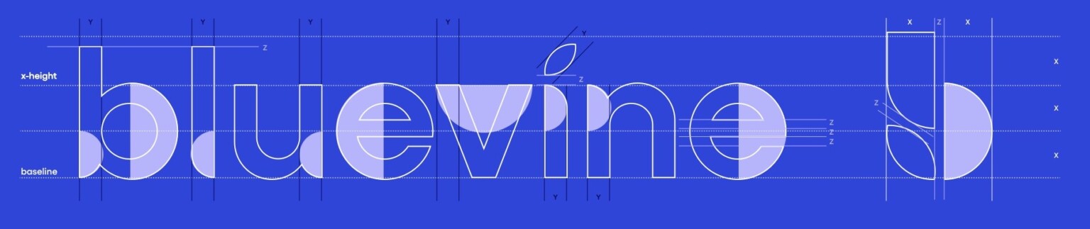 The next era of Bluevine: A look inside our rebrand | Bluevine