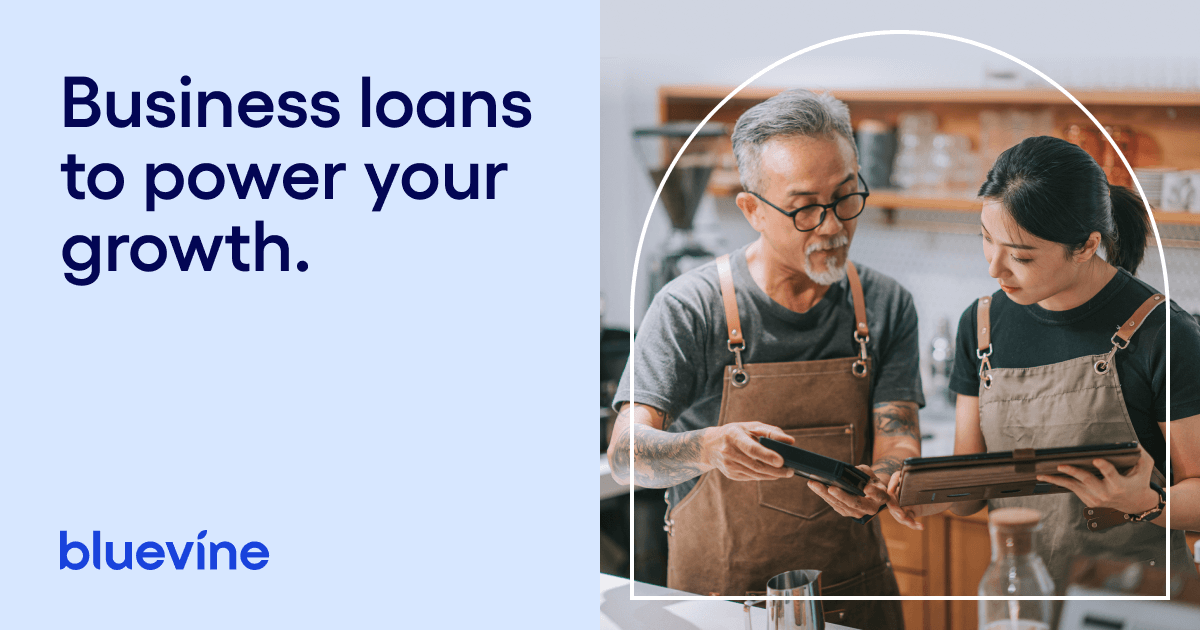 Business Loans That Fit Your Needs | Bluevine