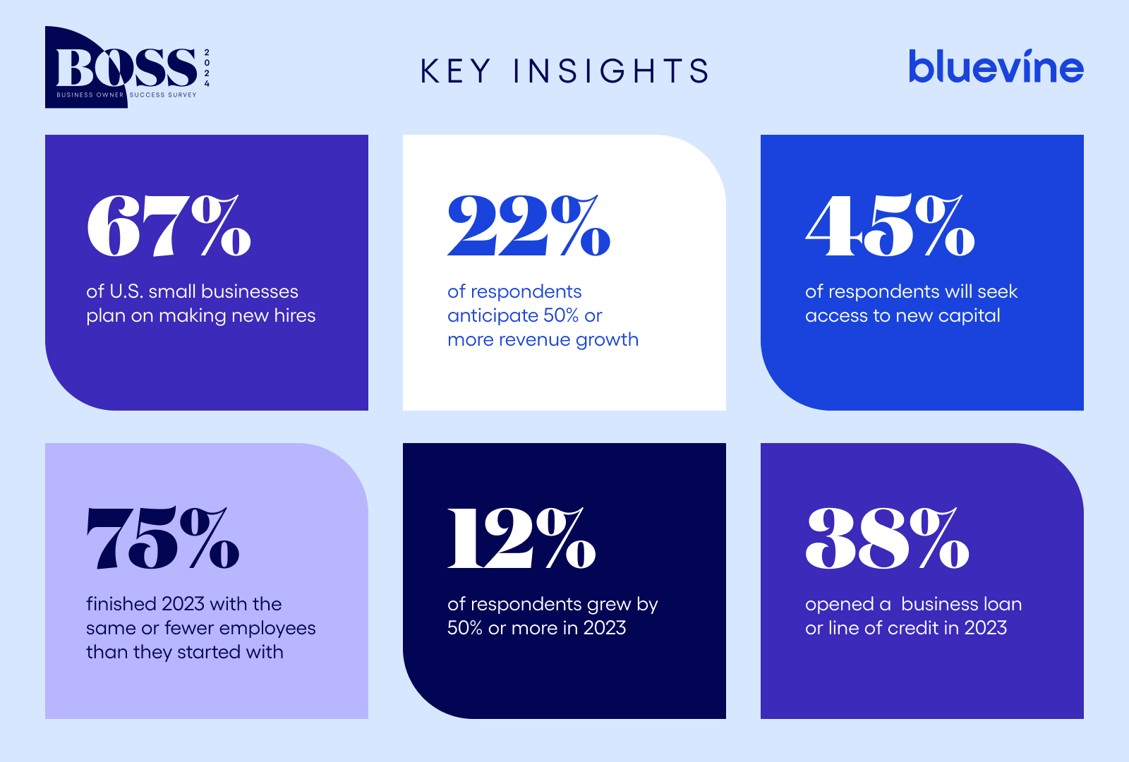 2024 Business Owner Success Survey Report | Bluevine